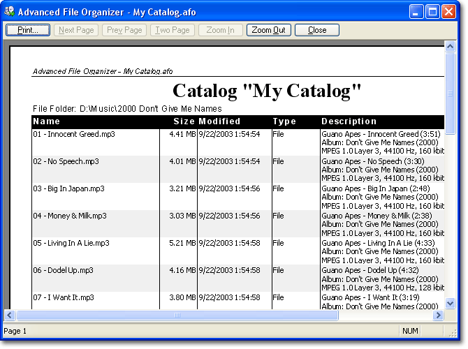 Advanced File Organizer Press Kit